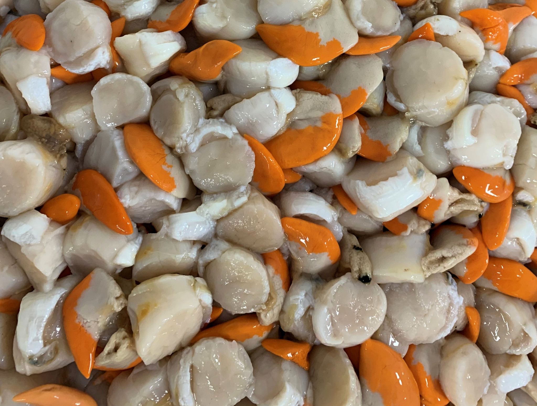 2022 stock assessment results | SSMO