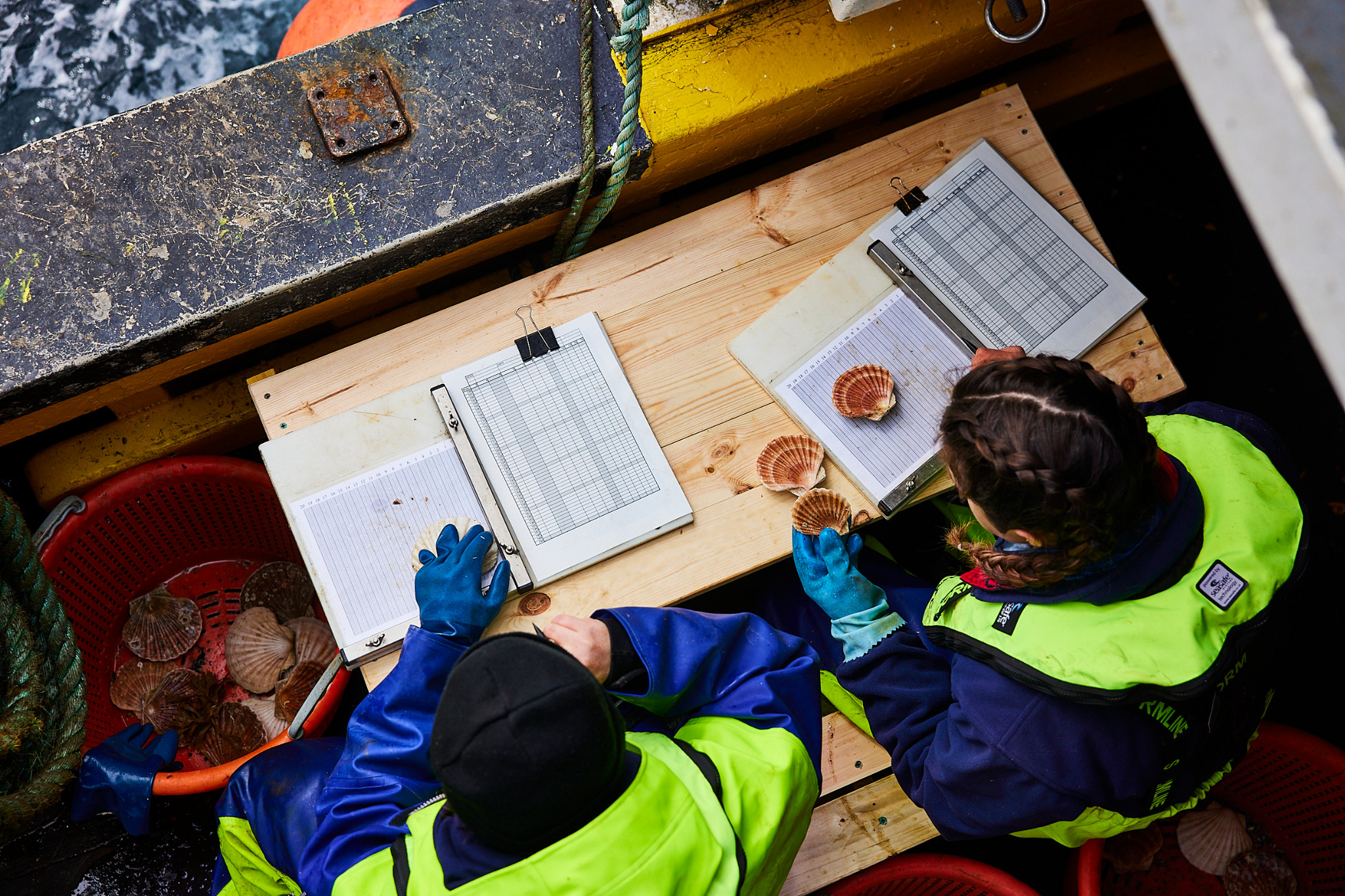 Expert opinion on the SSMO's stock assessment methodology | SSMO